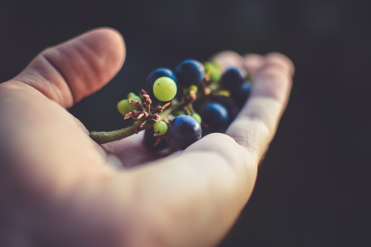 How To Get Started Making Wine At Home Winery Custom Crush Case 